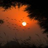 Places to visit in Kamalpur, Things To Do and How to reach - Nativeplanet