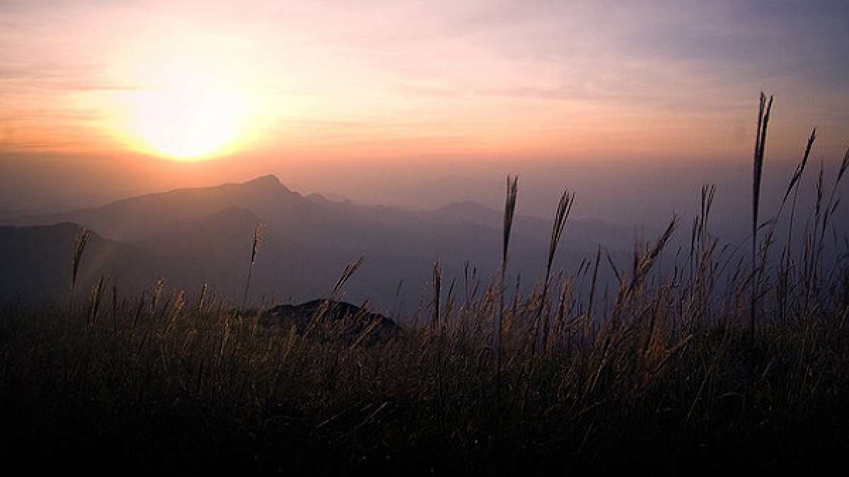 Coorg Overshines Munnar as the Top Tourist Spot! - Nativeplanet
