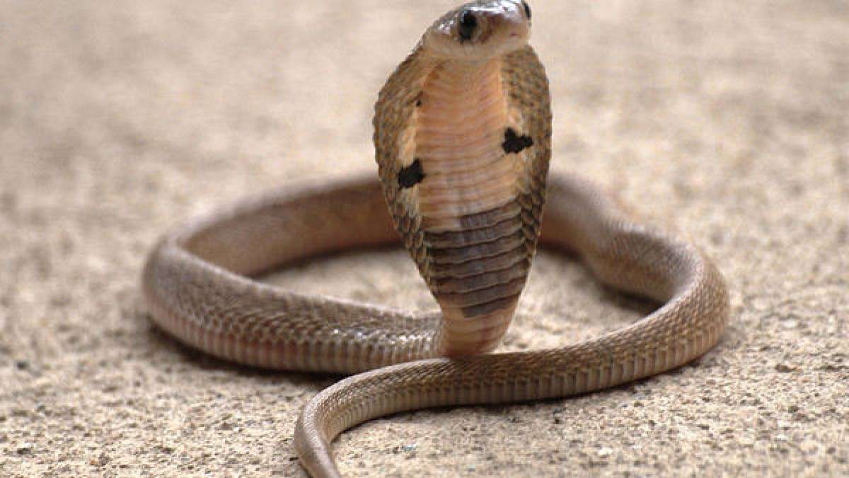 Jashpur, The Land of Hills and Waterfalls - Nativeplanet