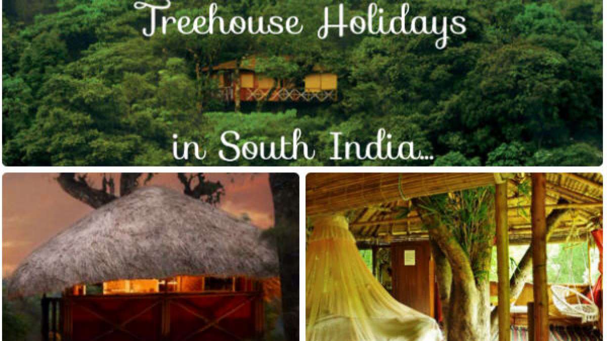 5 Amazing Treehouse Experiences in South India - Nativeplanet