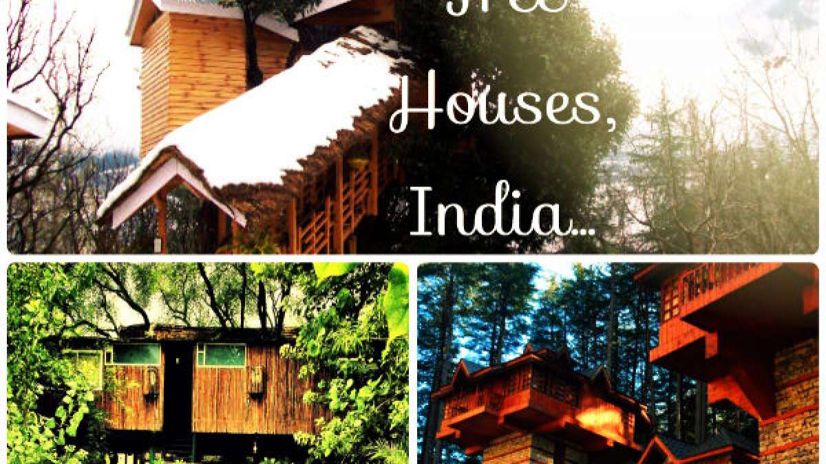 5 Stunning Tree House Experiences in India - Nativeplanet