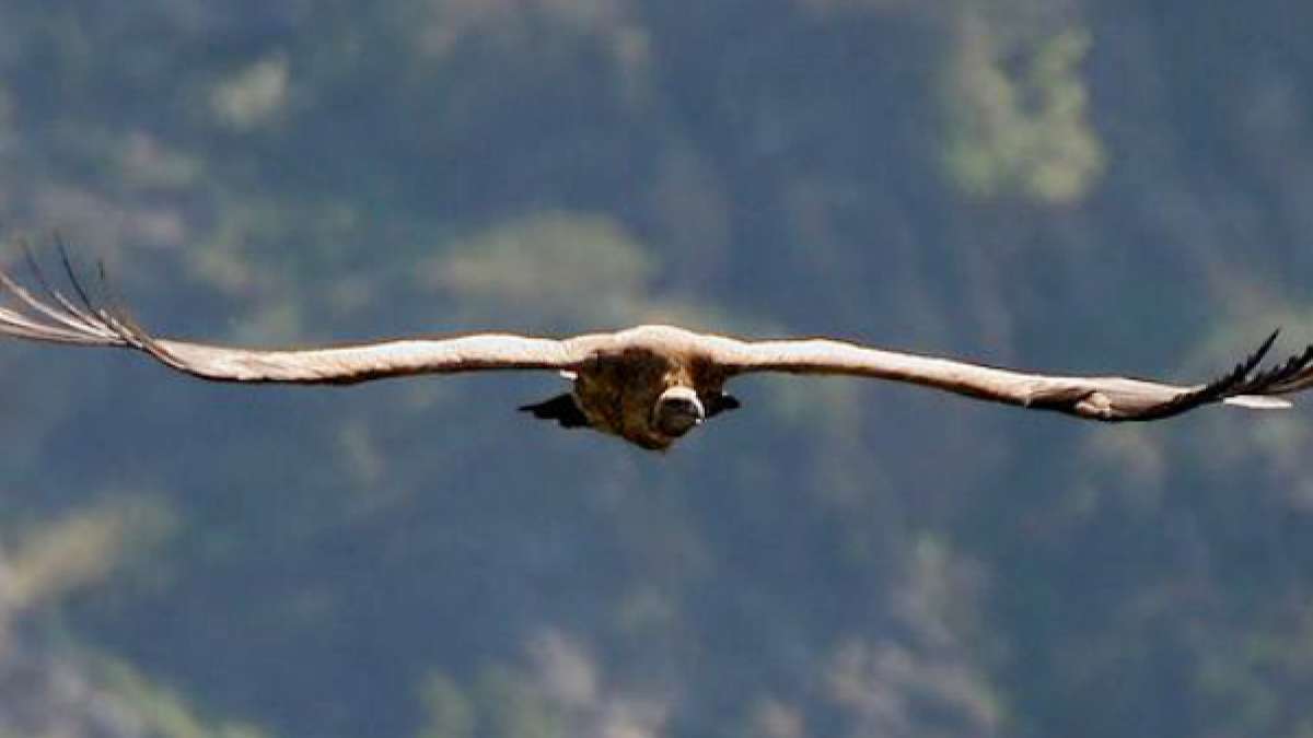 Travel to Kullu, The Valley of Gods - Nativeplanet