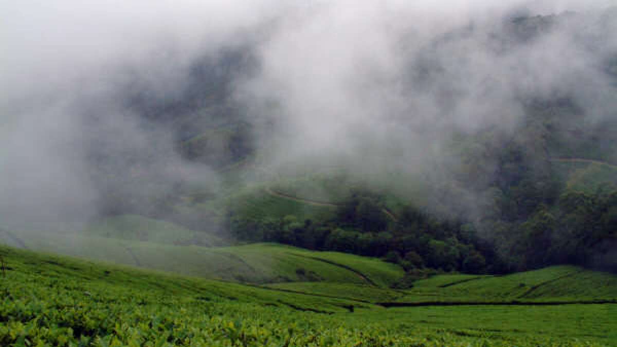 Travel to the Picturesque Town of Theni - Nativeplanet