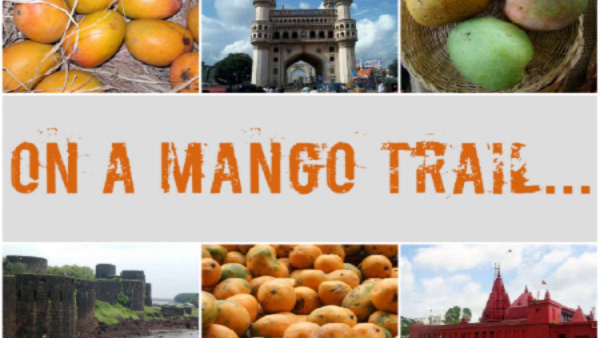 On a Mango Trail... - Nativeplanet