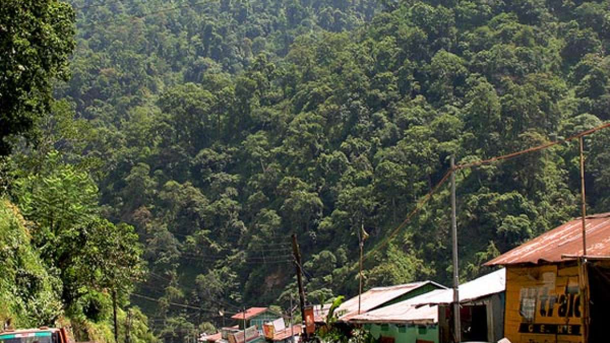 West Bengal Tourism – Beauty of Kalimpong - Nativeplanet