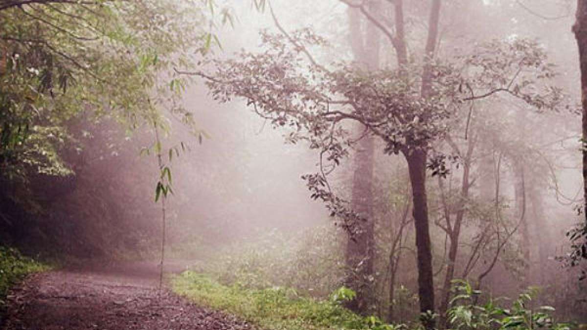 The Heavenly Beauty of Gavi in Kerala - Nativeplanet