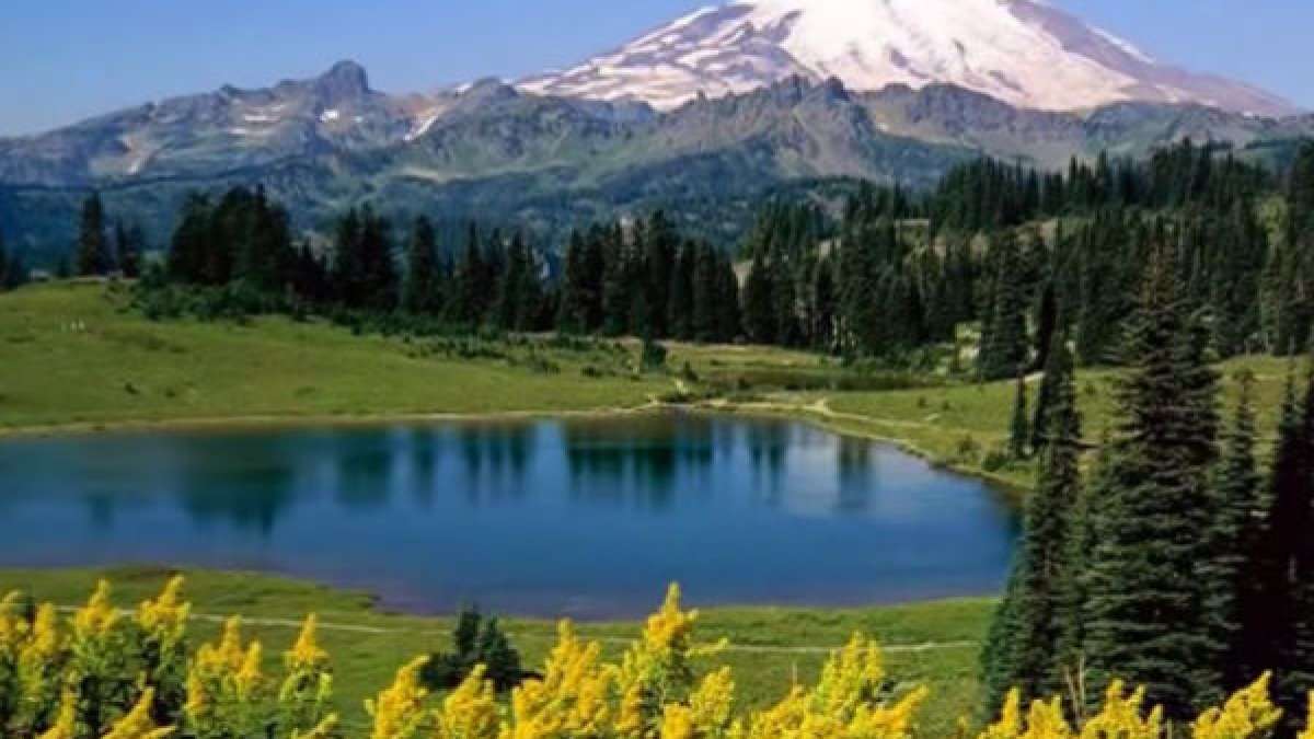 A Nature Triangle Tour In Assam; Touching Haflong , Mayong And Manas ...