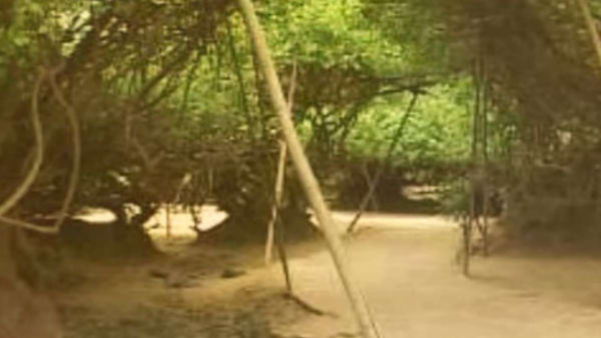 The Mysterious Nidhivan In Vrindavan - Does Lord Krishna Visit This ...