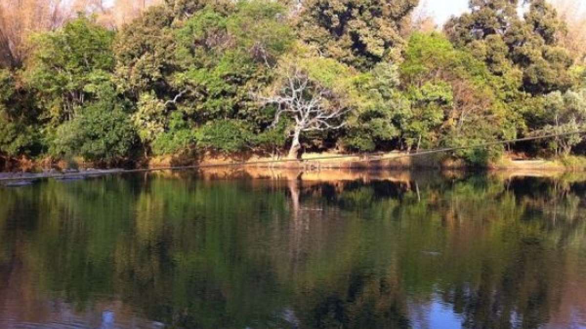 Kuruvadweep In Wayanad – Naturesque Island In Wayanad ! - Nativeplanet