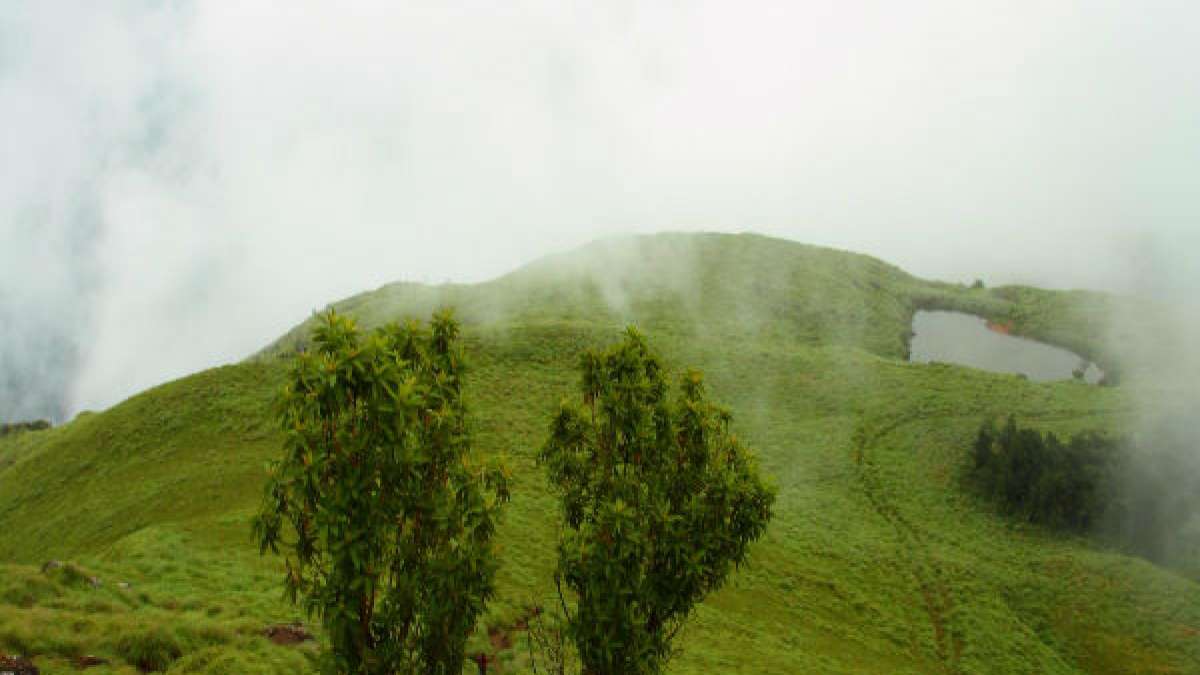 Chembra peak trek - Trekking in the highest peak of Wayanad! - Nativeplanet