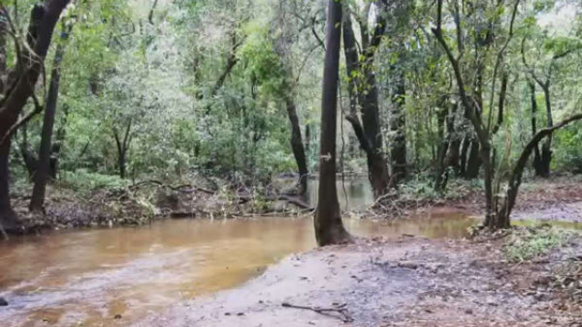 A Day in Mollem National Park - Nativeplanet