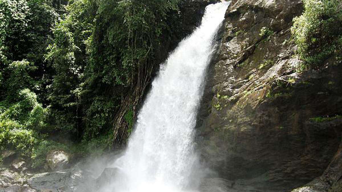 Here’s Why You Should Visit Wayanad - Nativeplanet
