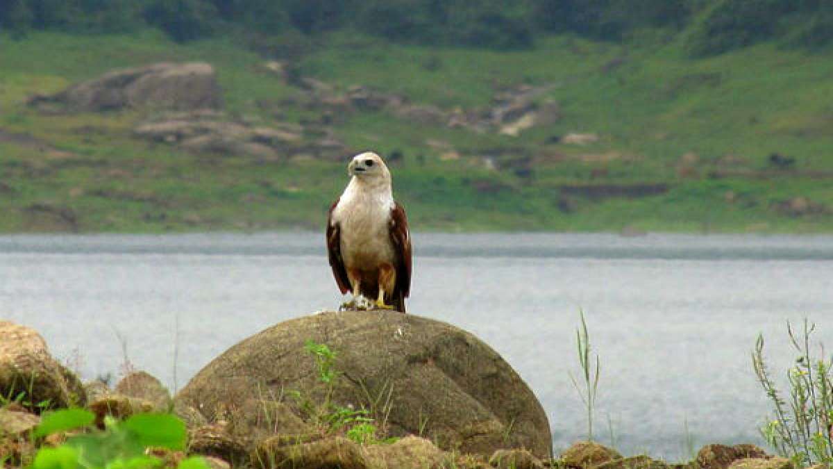 A Trek Through The Chimmini Wildlife Sanctuary - Nativeplanet