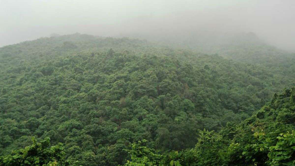 A Guide To Netarhat: The Queen Of Chotanagpur - Nativeplanet