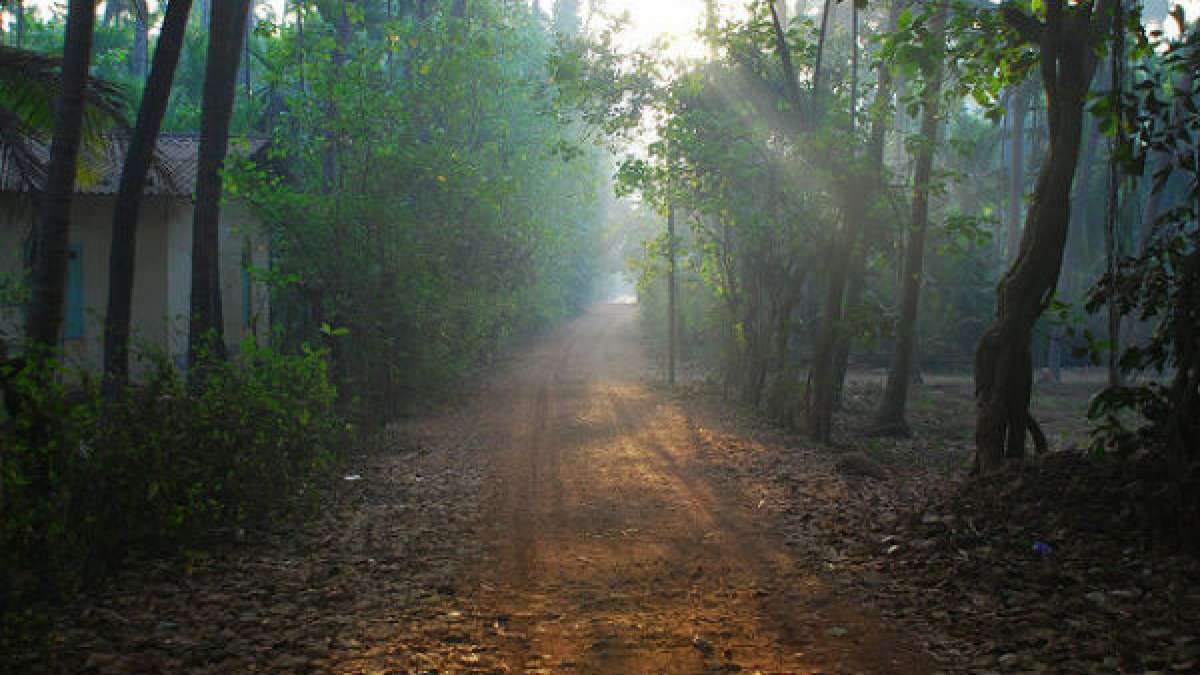 A Guide To The Beach Town Of Diveagar - Nativeplanet