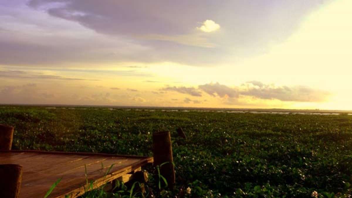 4 Hill Stations Of Assam That Are Simply Breathtaking! - Nativeplanet
