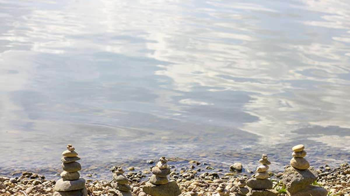 Explore The Beauty In And Around Shamirpet Lake - Nativeplanet