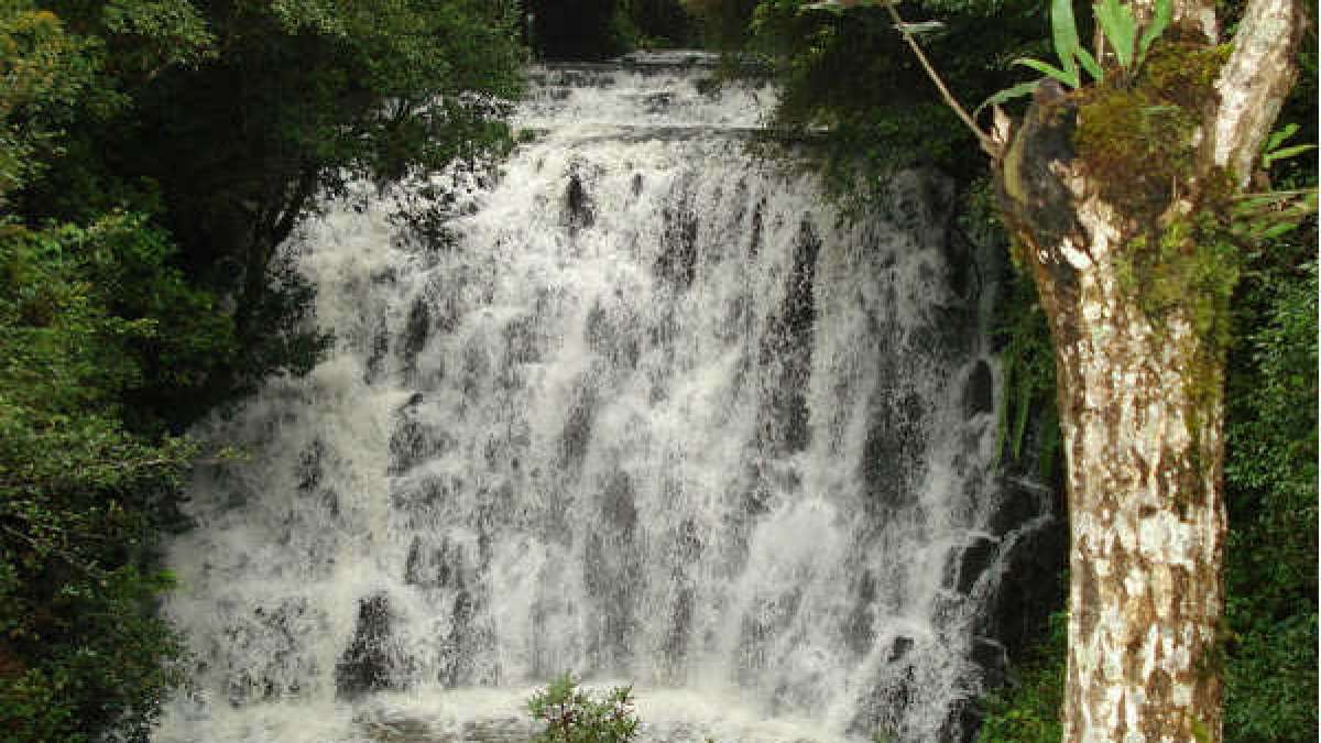 Waterfalls In Meghalaya, Shillong - Nativeplanet