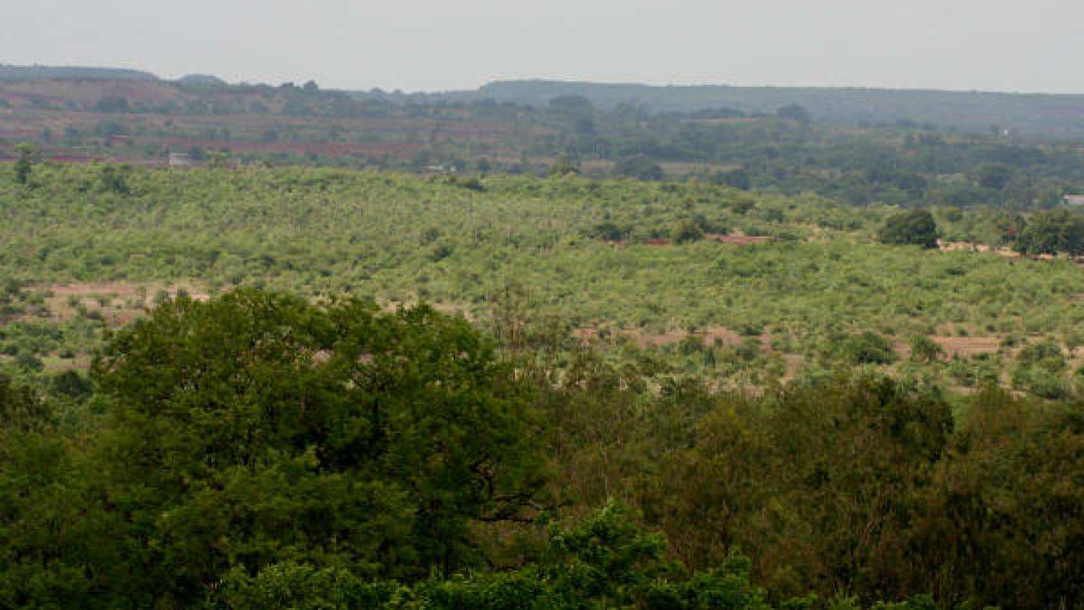 Ananthagiri Hills In Telangana, Vikarabad - Nativeplanet