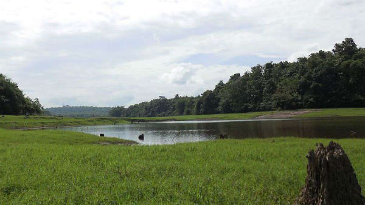 Thattekad Bird Sanctuary In Kerala, Best Time and How to Reach ...
