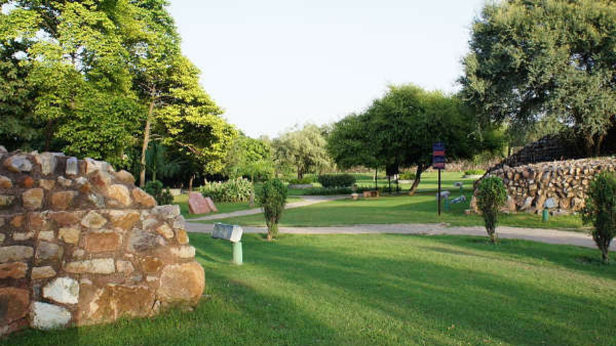 Qila Rai Pithora In Delhi, History, attractions and How to Reach ...