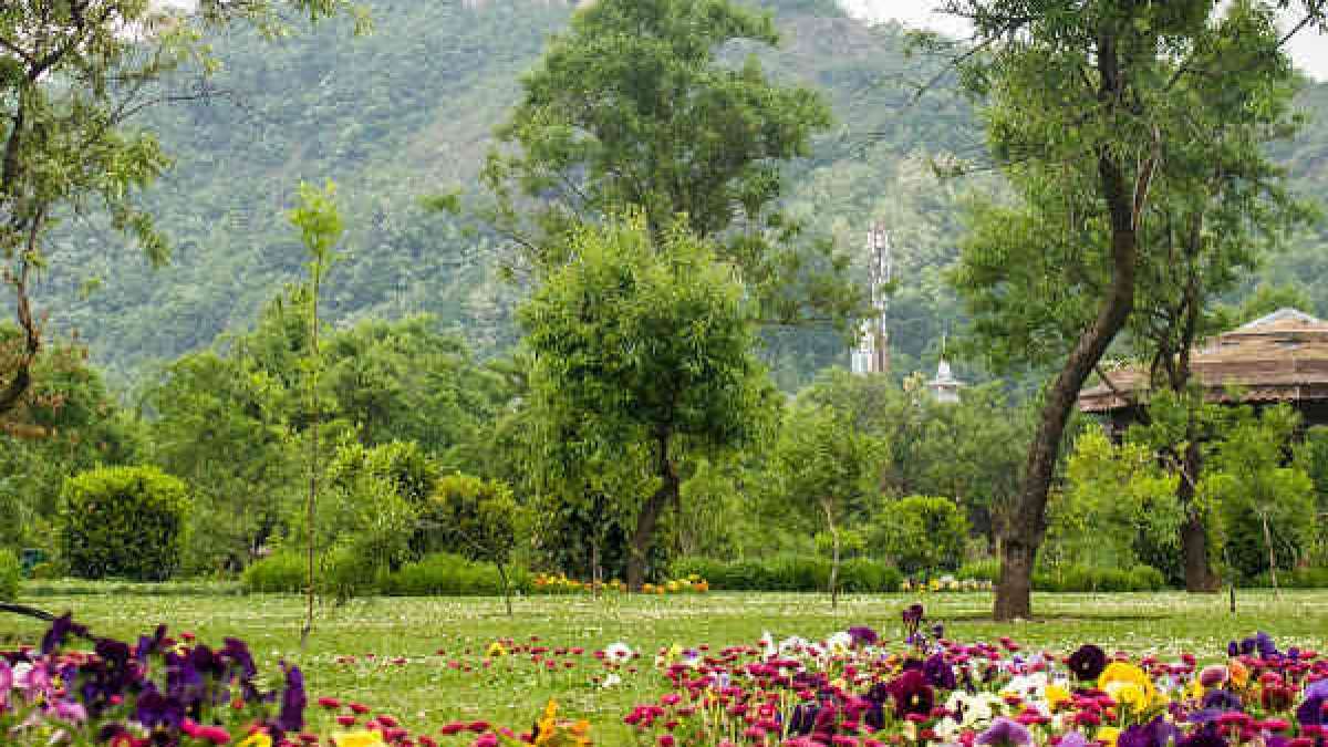 Hari Parbat Fort Srinagar - About, Location and How to Reach - Nativeplanet