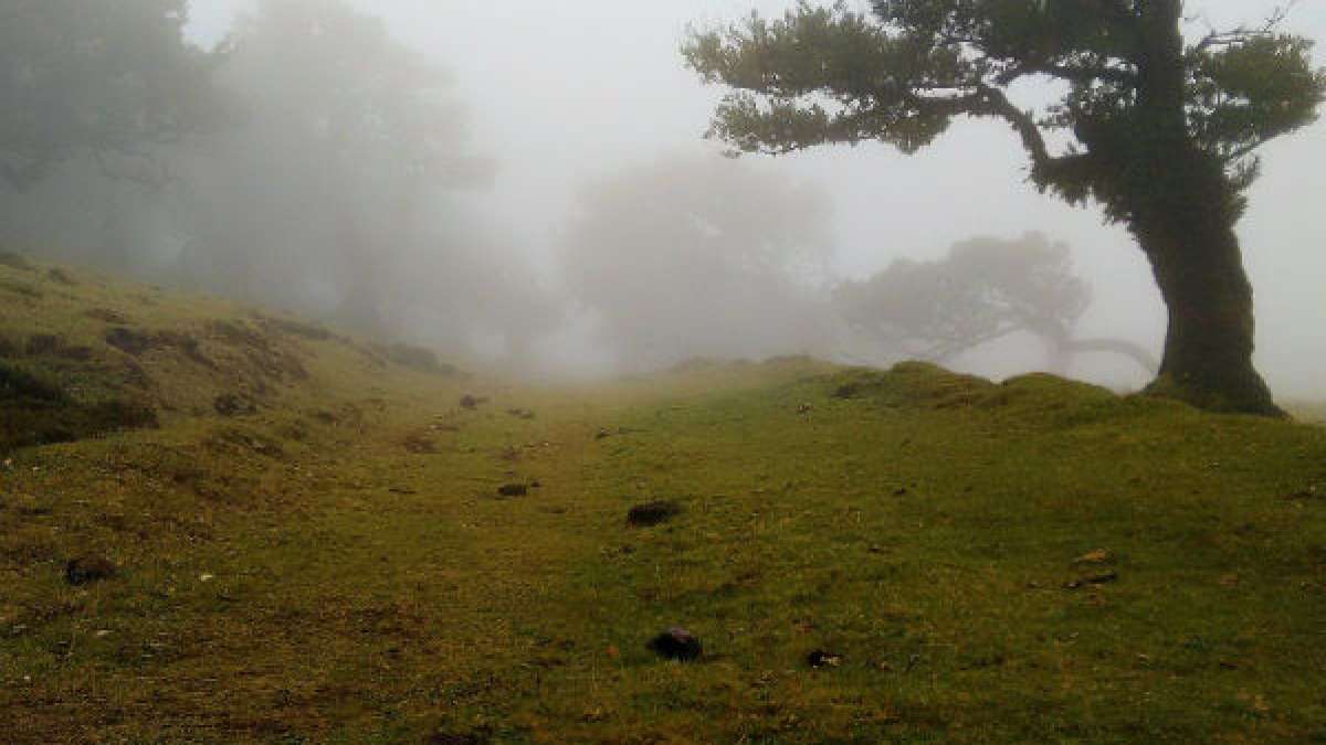 Visakhapatnam To Araku Valley Travel guide, Attractions and How to ...