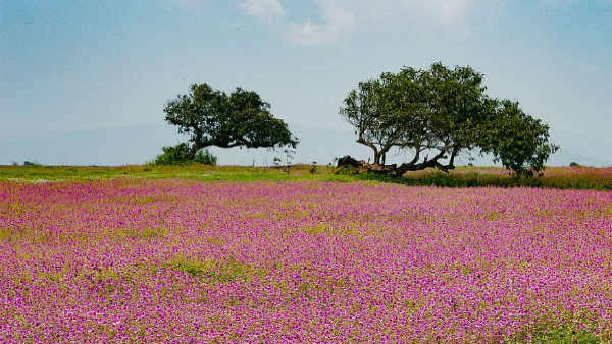 Top 5 Spellbinding Places In India That No One Knows About - Nativeplanet