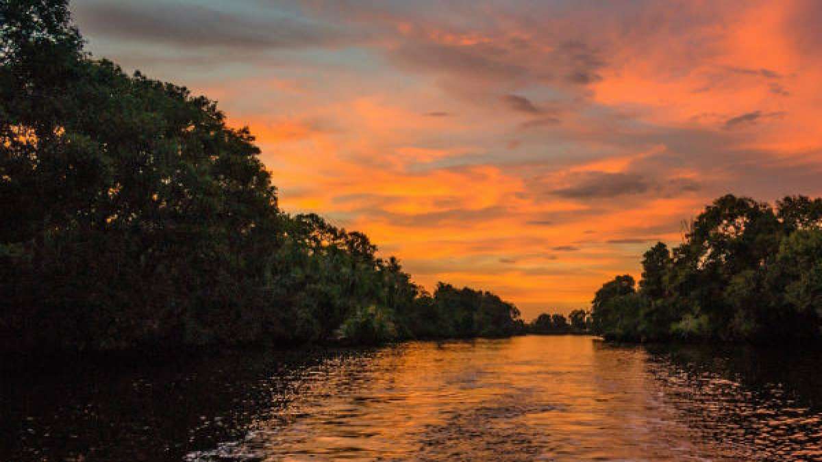 Visakhapatnam To Coringa Travel Guide, Tourist Places and How to Reach ...