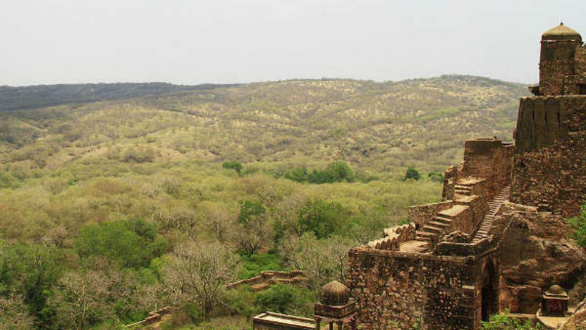 Jaipur To Sawai Madhopur Travel Guide, Attractions and how to reach ...
