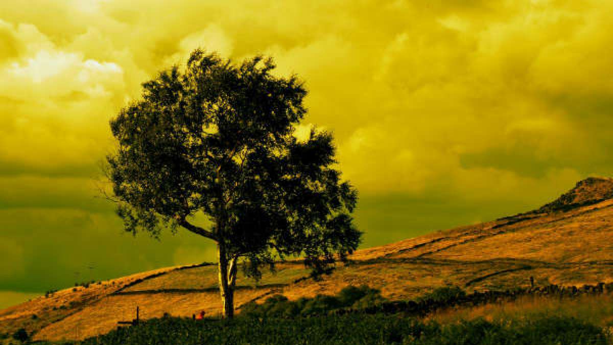 5 Reasons to Visit Bongaigaon In Assam - Nativeplanet