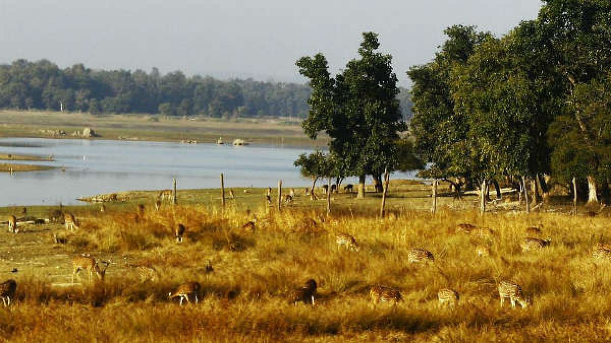 Best Places To Visit In Chhindwara And Tourist Attractions - Nativeplanet