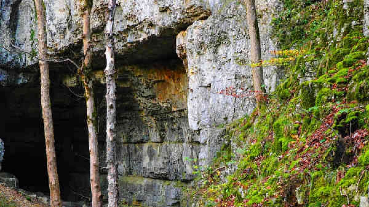 Nellitheertha Cave Temple History, Timings And How To Reach - Nativeplanet
