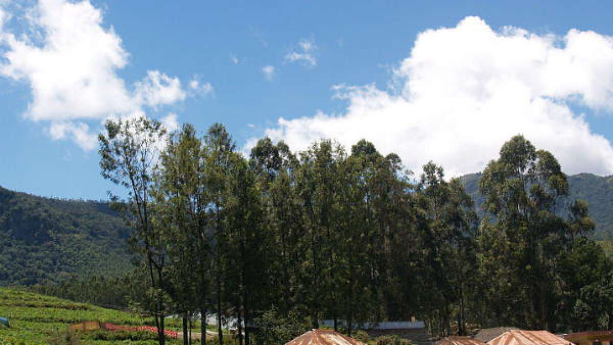 Kanthalloor In Idukki Travel Guide, Attractions And How To Reach ...