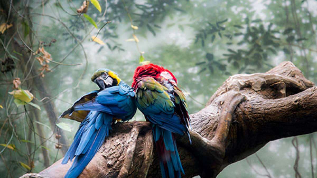 Places to visit in Raebareli, Things To Do and How to reach - Nativeplanet