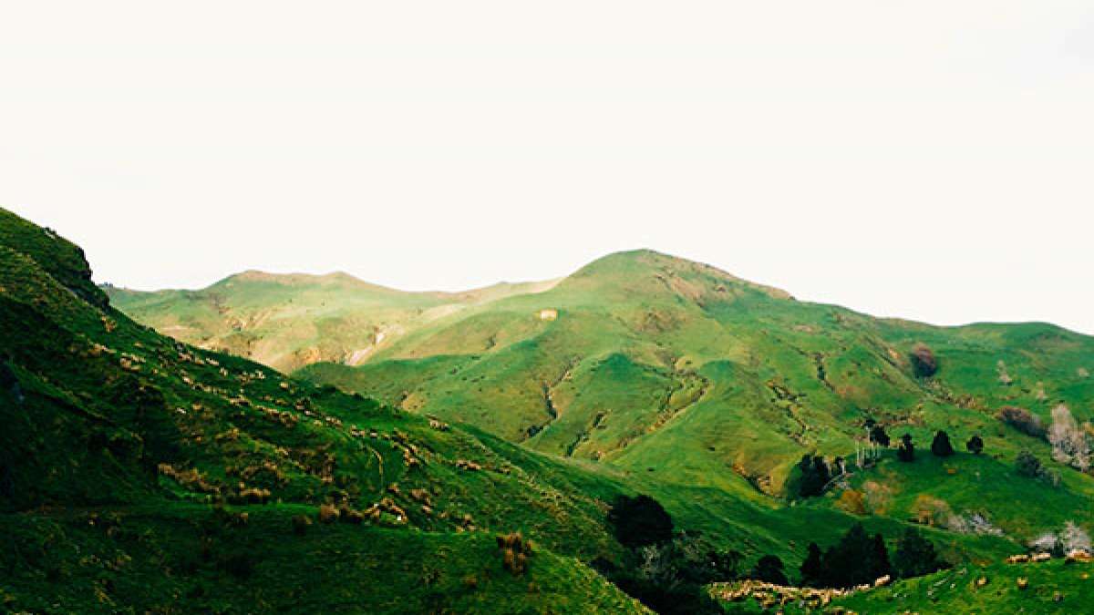 Places to visit in Ukhrul, Things To Do and How to reach - Nativeplanet