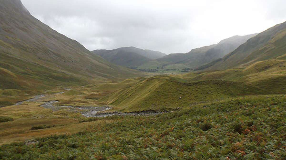 Places to visit in Amalapuram, Things To Do and How to reach - Nativeplanet