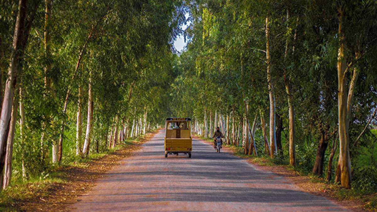 Places To Visit In Abohar, Things To Do And How To Reach - Nativeplanet