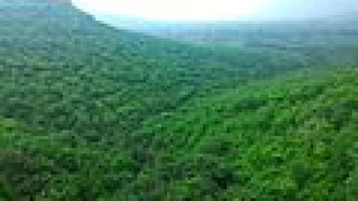 Satna in Madhya Pradesh, Travel Guide, Places to Visit and How to Reach ...