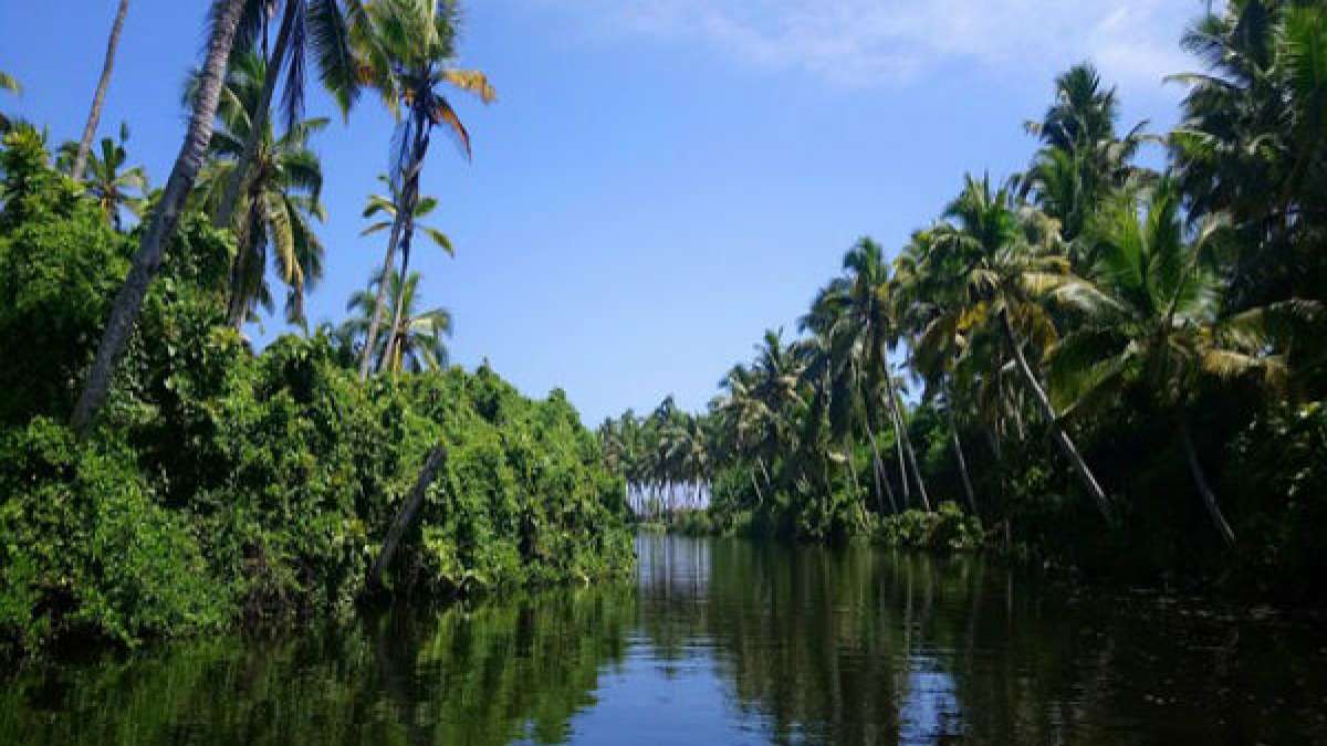 Kalady, Kerala Places to visit, Things to do and How to Reach ...