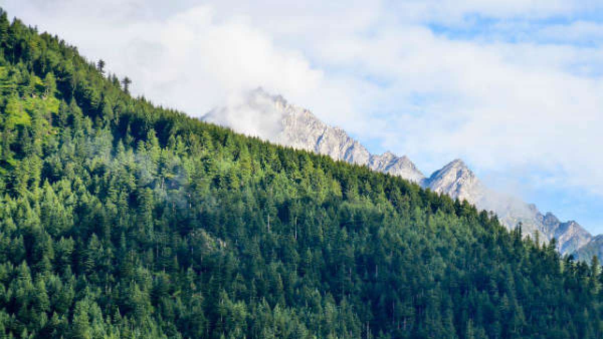 best places to visit in Summer In Sikkim 2020 - Nativeplanet