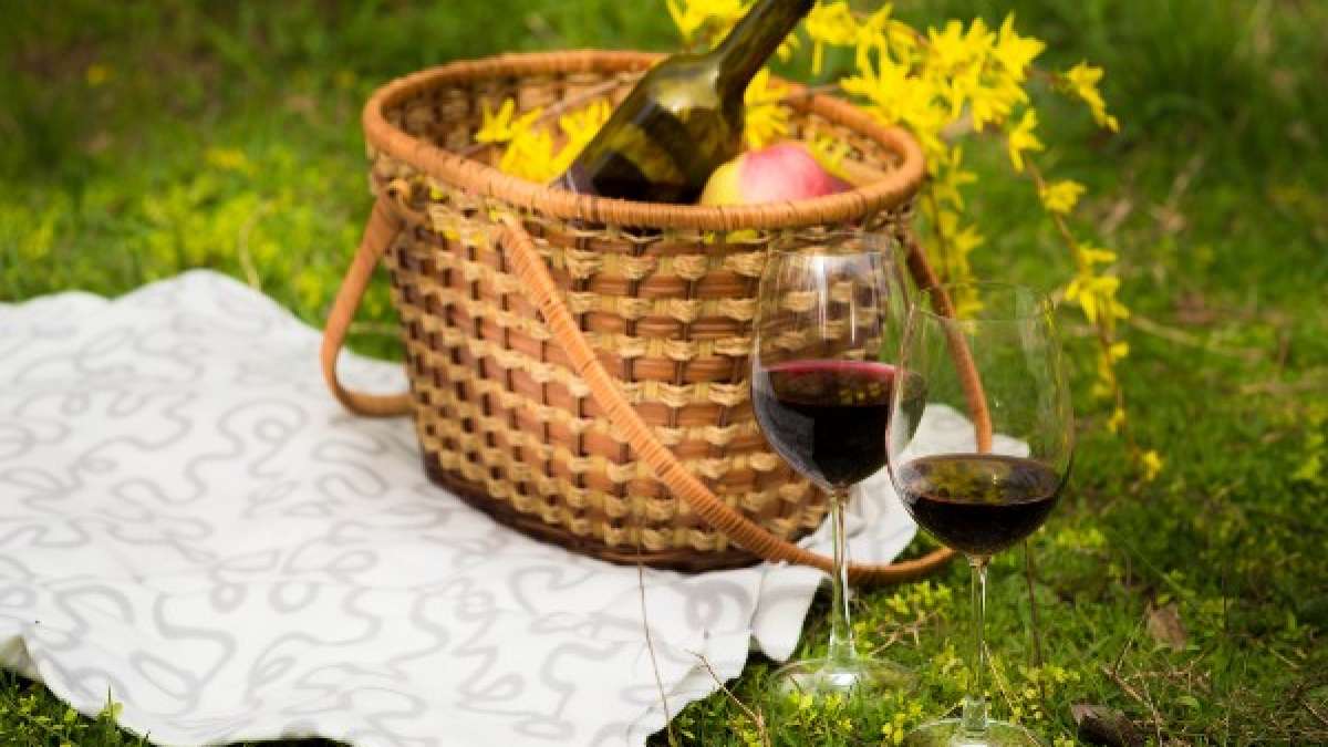 World Picnic Day 2021: Picnic Spots Around Bangalore - Nativeplanet