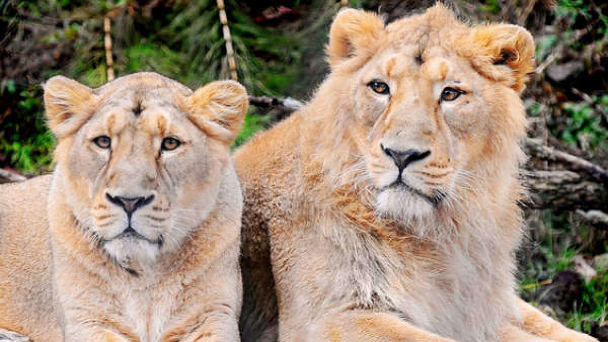 Best Places To Visit In Winter In Gujarat | Winter Destinations in ...