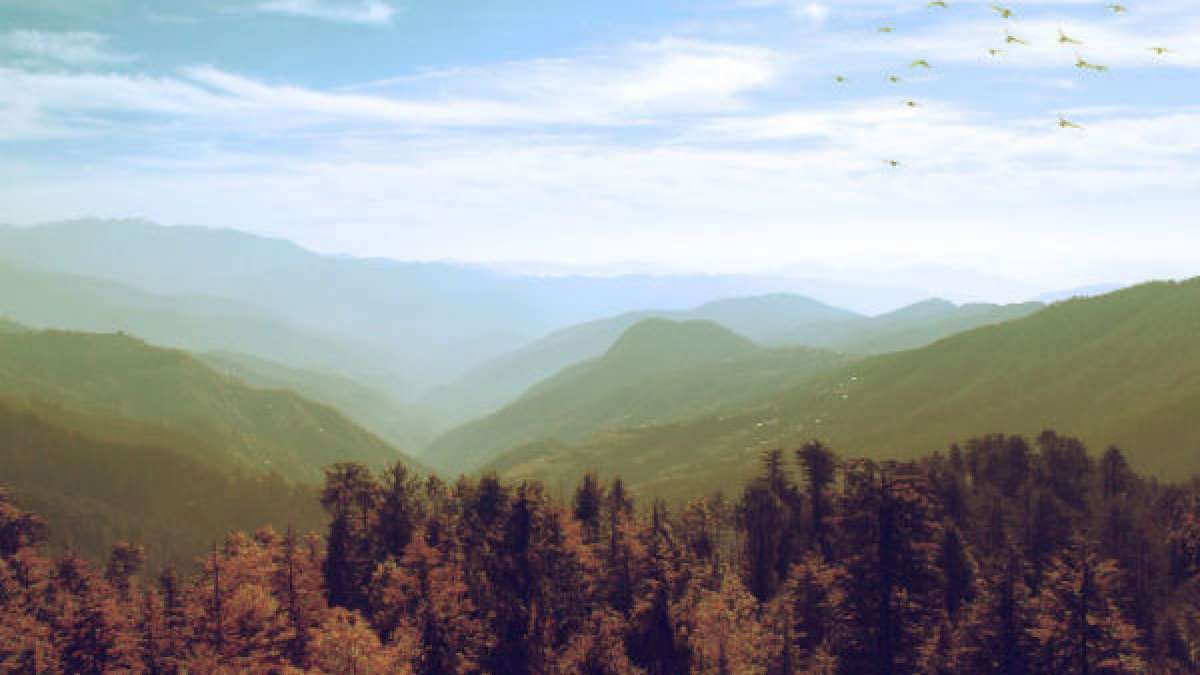 Best Places To Visit In Winter In Jammu and Kashmir | Winter ...