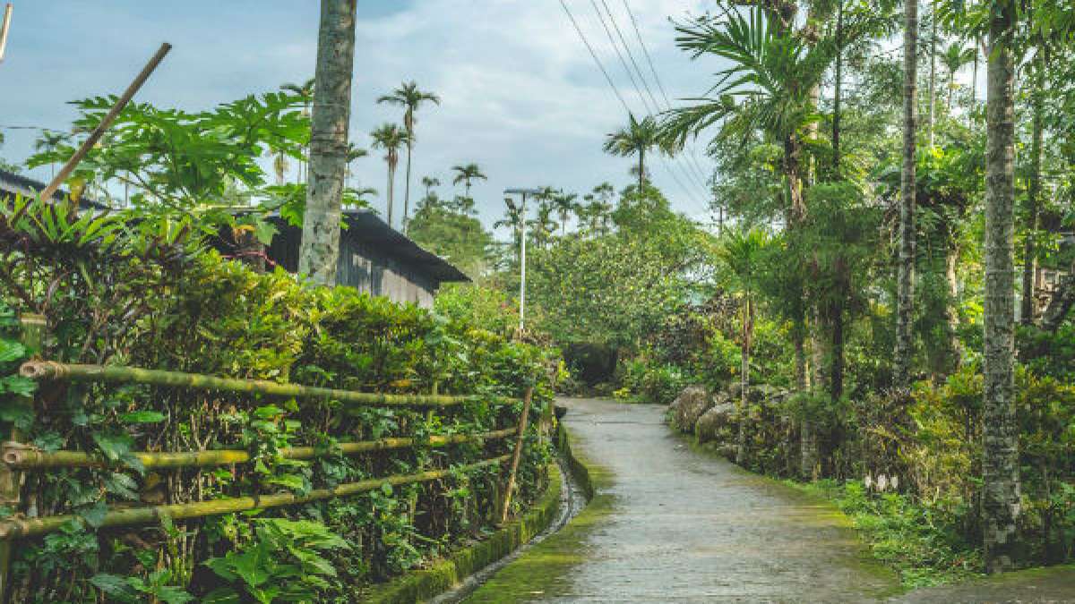 Budget Friendly Winter Places To Visit Around Shillong - Nativeplanet