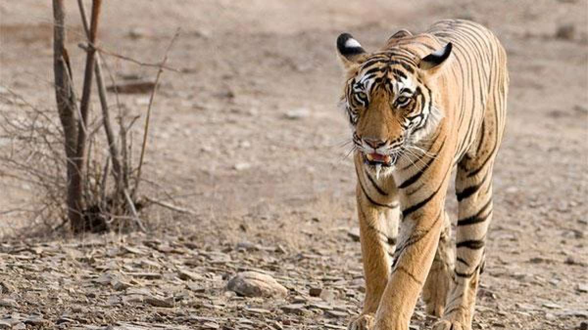 Places To Visit In Maharashtra In Winter Nativeplanet places-to-visit-in-maharashtra-in-winter-nativeplanet