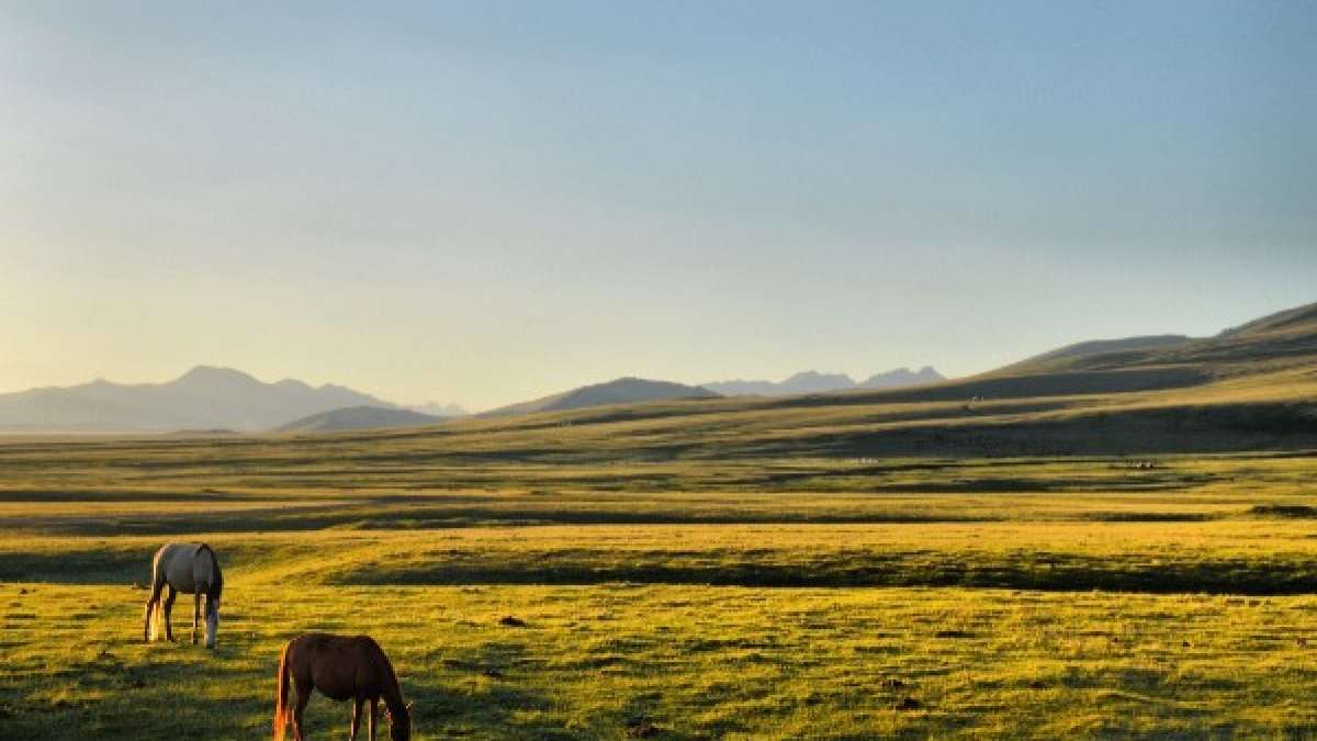 The Fergana Valley Location Facts History When To Visit How To Reach ...