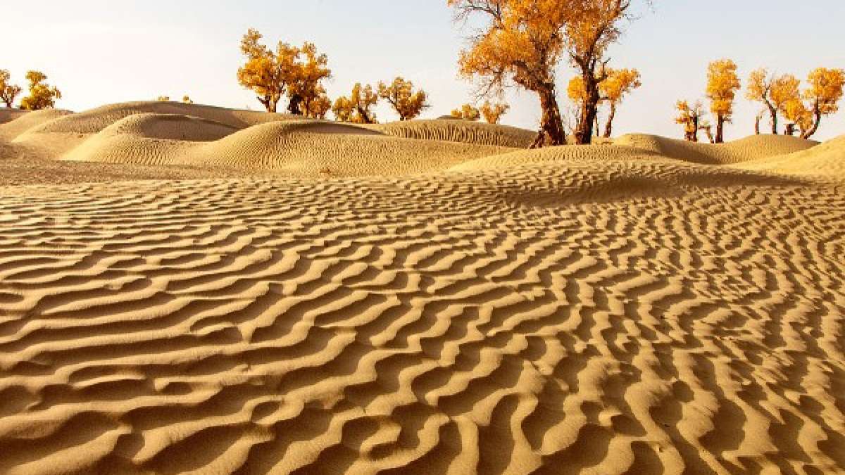 Taklamakan Desert Location History Facts China - Nativeplanet