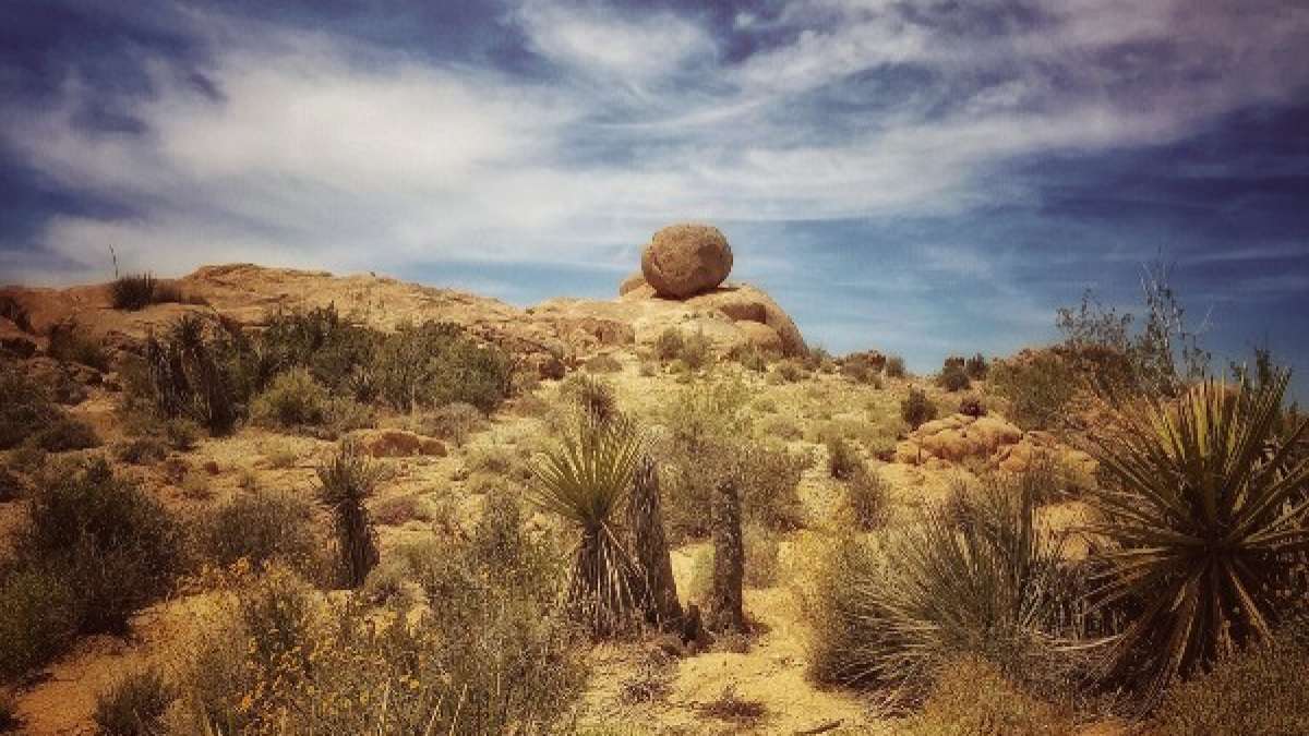 The Mojave Desert, United States, Location, Information, History, Facts ...