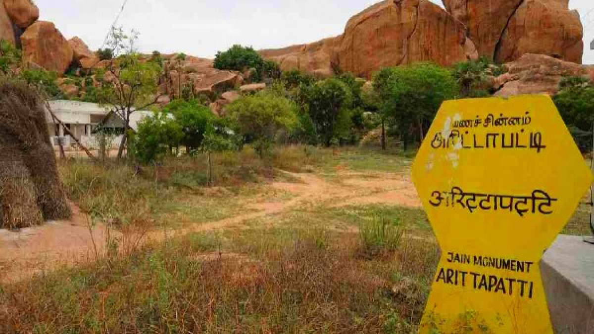 Arittapatti Biodiversity Heritage Site History, Attractions and How to ...